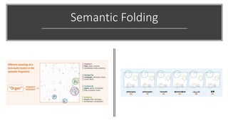 Hierarchical Temporal Memory Xceedance | PPTX