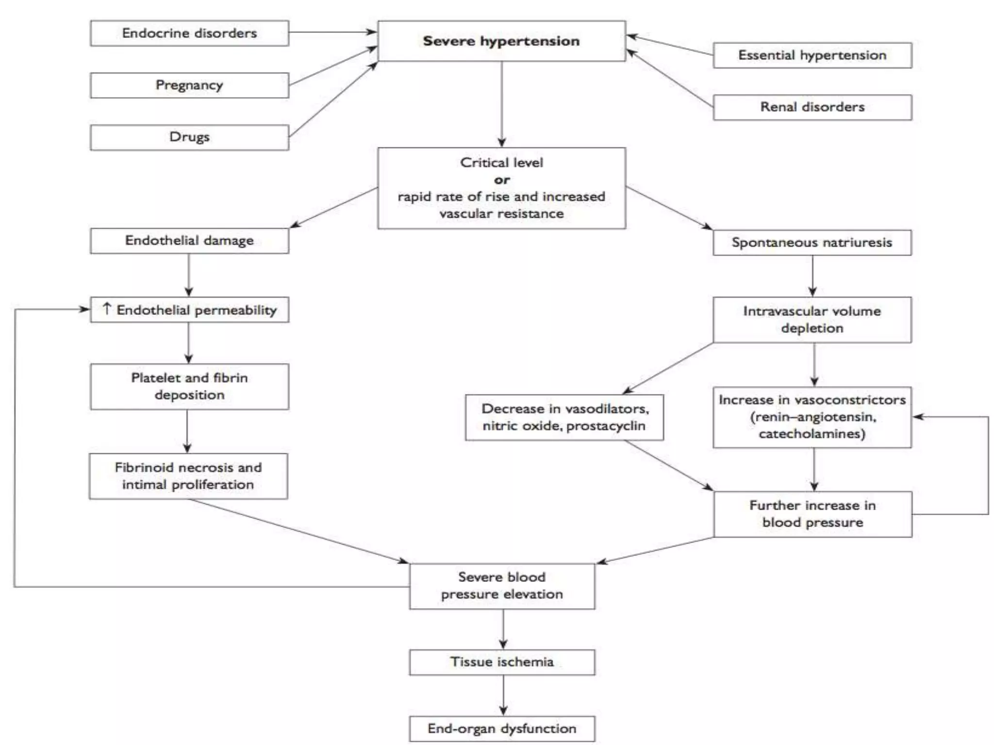 HYPERTENSION EMERGENCY & URGENCY | PPTX