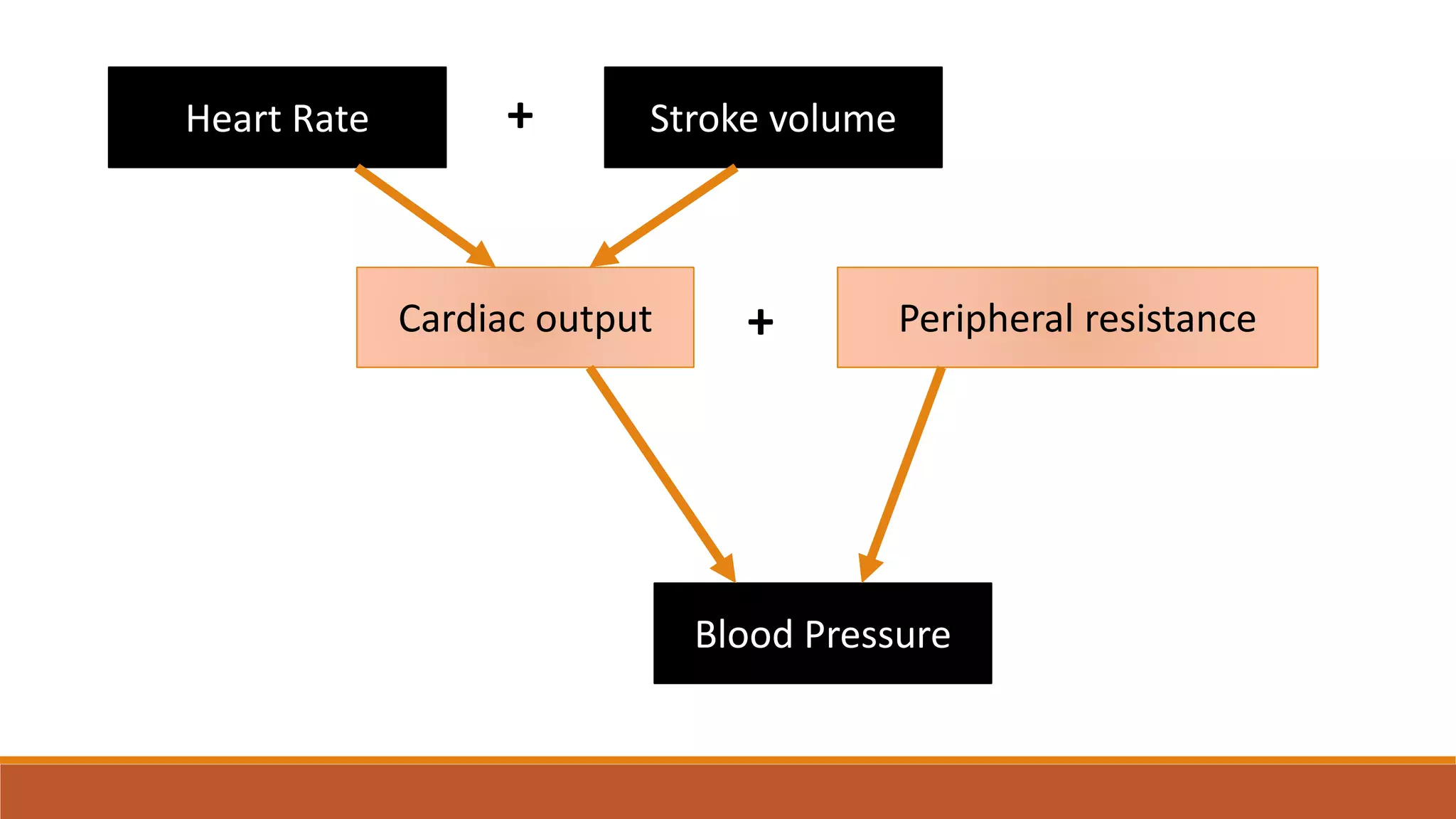 Pathology of Hypertension | PPTX