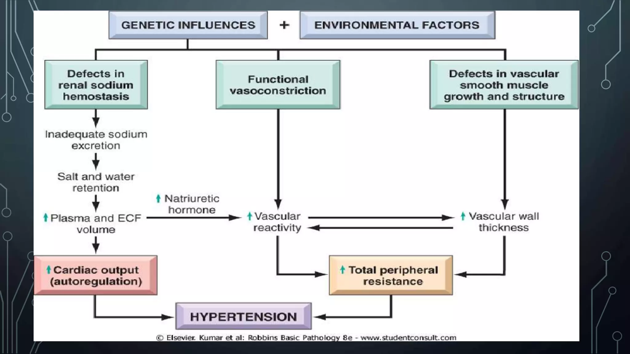Hypertension and Antihypertensive drugs - Diuretics and RAS inhibitors ...