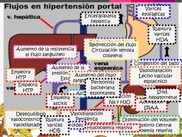 Htp e insuficiencia hepatica