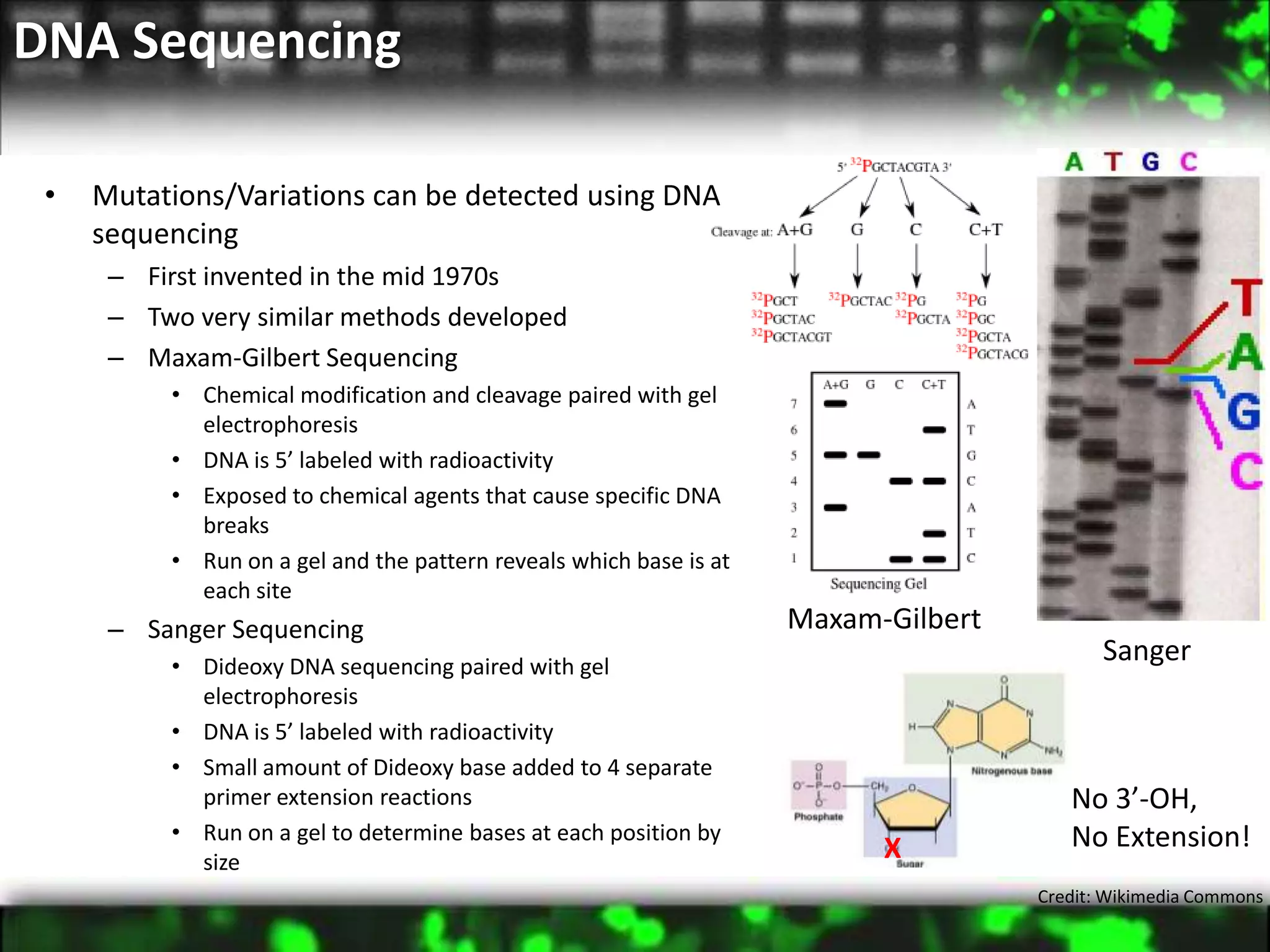 High Throughput Sequencing Technologies: On the path to the $0* genome | PPTX | Chemistry | Science