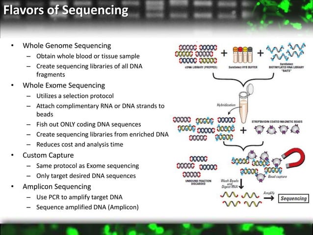 High Throughput Sequencing Technologies: On the path to the $0* genome | PPTX | Chemistry | Science