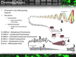 High Throughput Sequencing Technologies: On the path to the $0* genome ...