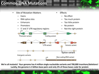 High Throughput Sequencing Technologies: On the path to the $0* genome ...