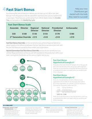 2011 Compensation Plan | PDF | Sales | Business