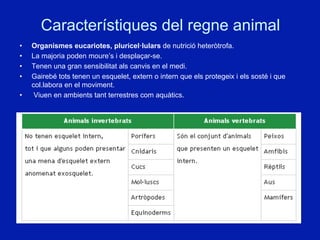 Dossier animals invertebrats 1r ESO (Català) | PDF