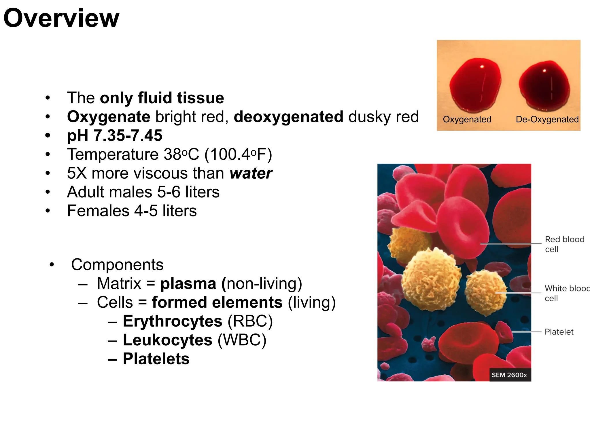 httpslearn-us-east-1-prod-fleet02-xythos.content.blackboardcdn.com5d44406cac91b284010503X ...