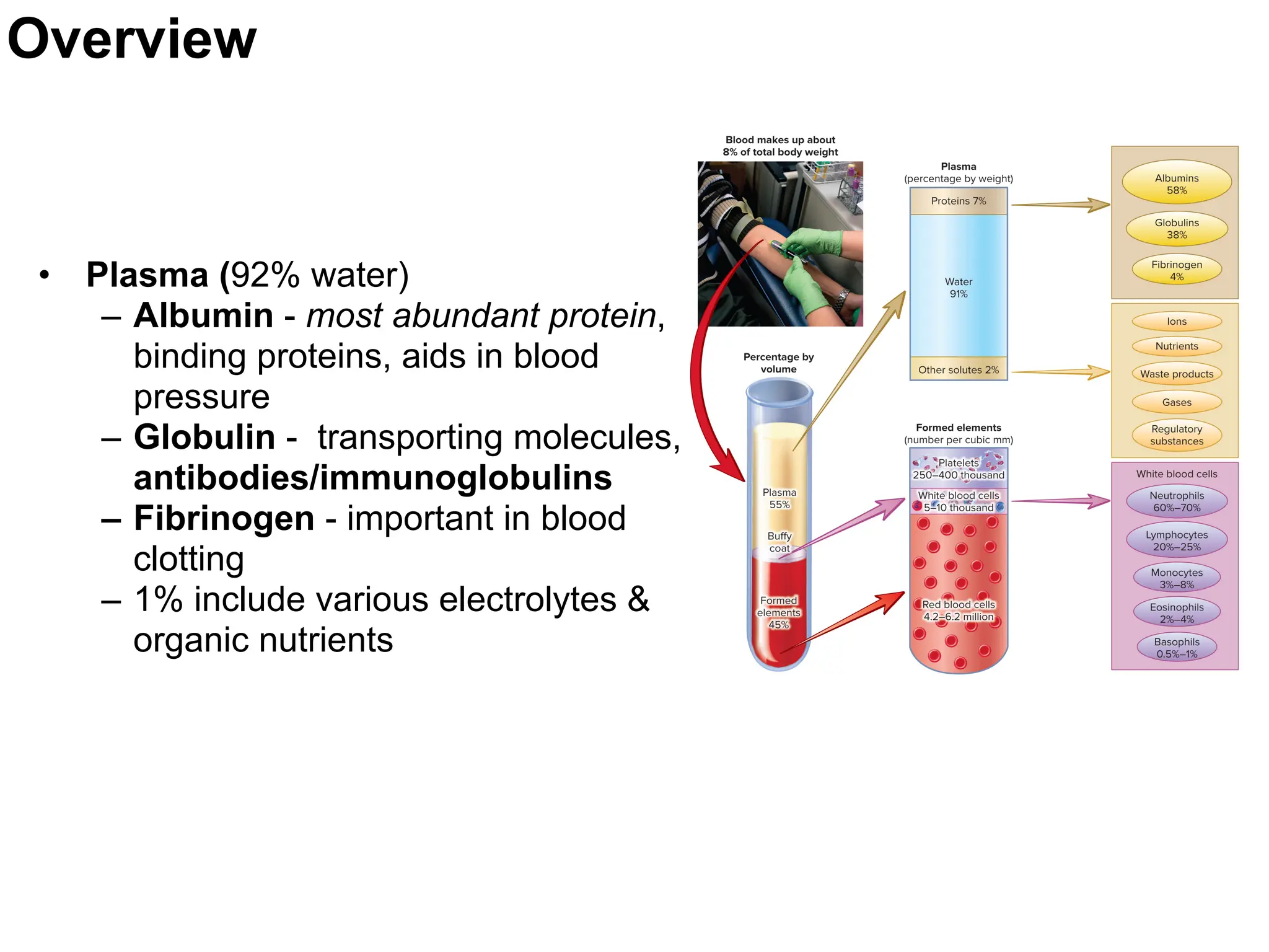 httpslearn-us-east-1-prod-fleet02-xythos.content.blackboardcdn.com5d44406cac91b284010503X ...