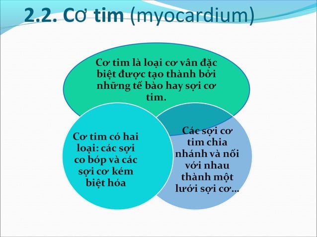 Hệ tuần hoàn | PPT