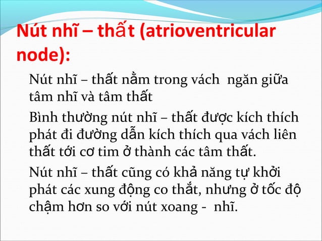 Hệ tuần hoàn | PPT