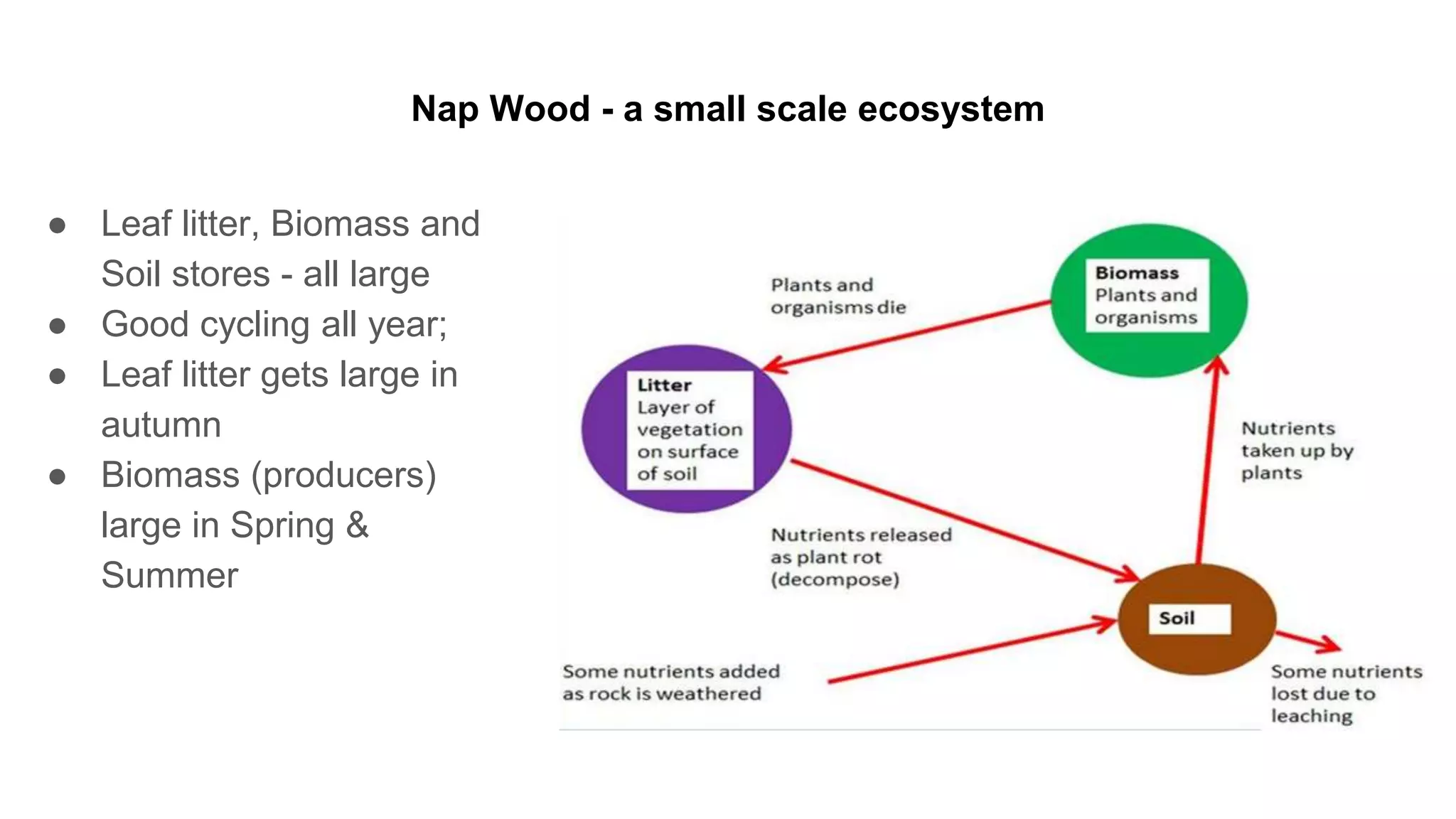 Fcase study: aqa gcse geography the living world: nap wood, an ecosytem ...