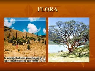 Huascaran | PPT