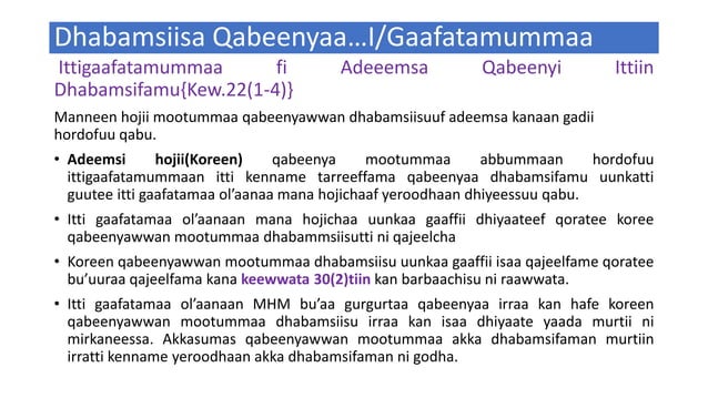 Hubannoo Dhabamsiisa Meeshalee MHM - Copy.pptx