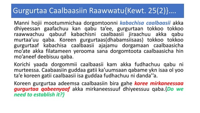 Hubannoo Dhabamsiisa Meeshalee MHM - Copy.pptx