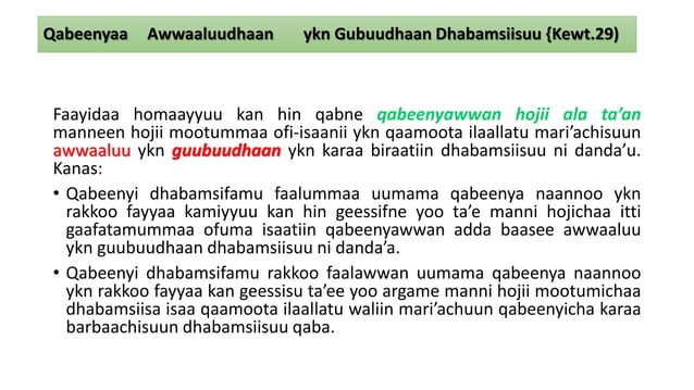 Hubannoo Dhabamsiisa Meeshalee MHM - Copy.pptx