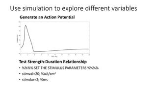 Cracking the Code: Using Quantitative Models in MATLAB to Solve ...