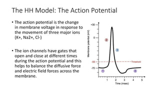 Cracking the Code: Using Quantitative Models in MATLAB to Solve Problems | PPT