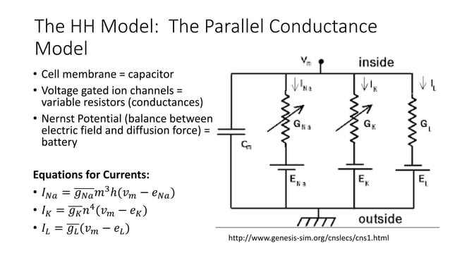 Cracking the Code: Using Quantitative Models in MATLAB to Solve Problems | PPT