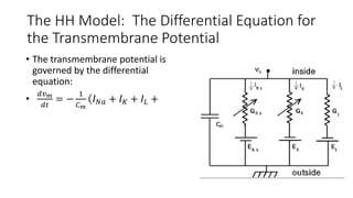Cracking the Code: Using Quantitative Models in MATLAB to Solve Problems | PPT