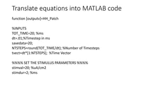 Cracking the Code: Using Quantitative Models in MATLAB to Solve ...