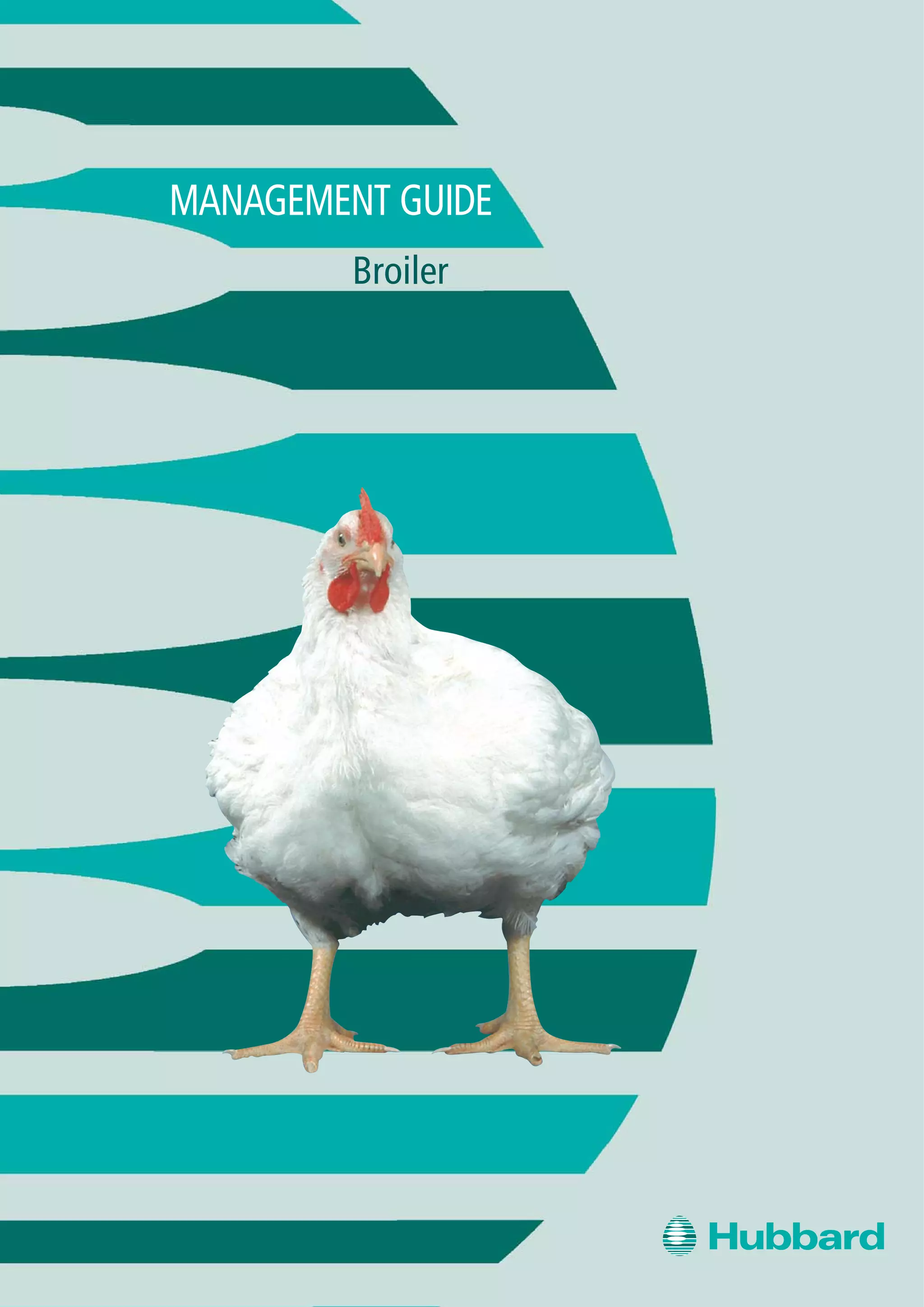 Hubbard broiler management_guide | PDF