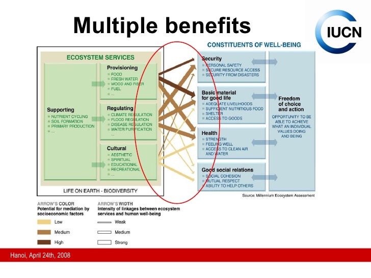 Climate change & REDD