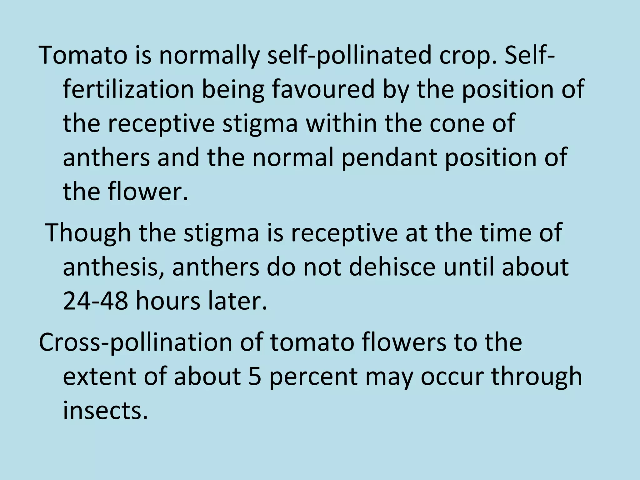 Hybrid Seed Production of Tomato | PPT