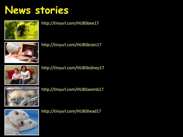 Developing Case Studies for Bioethics | PPT