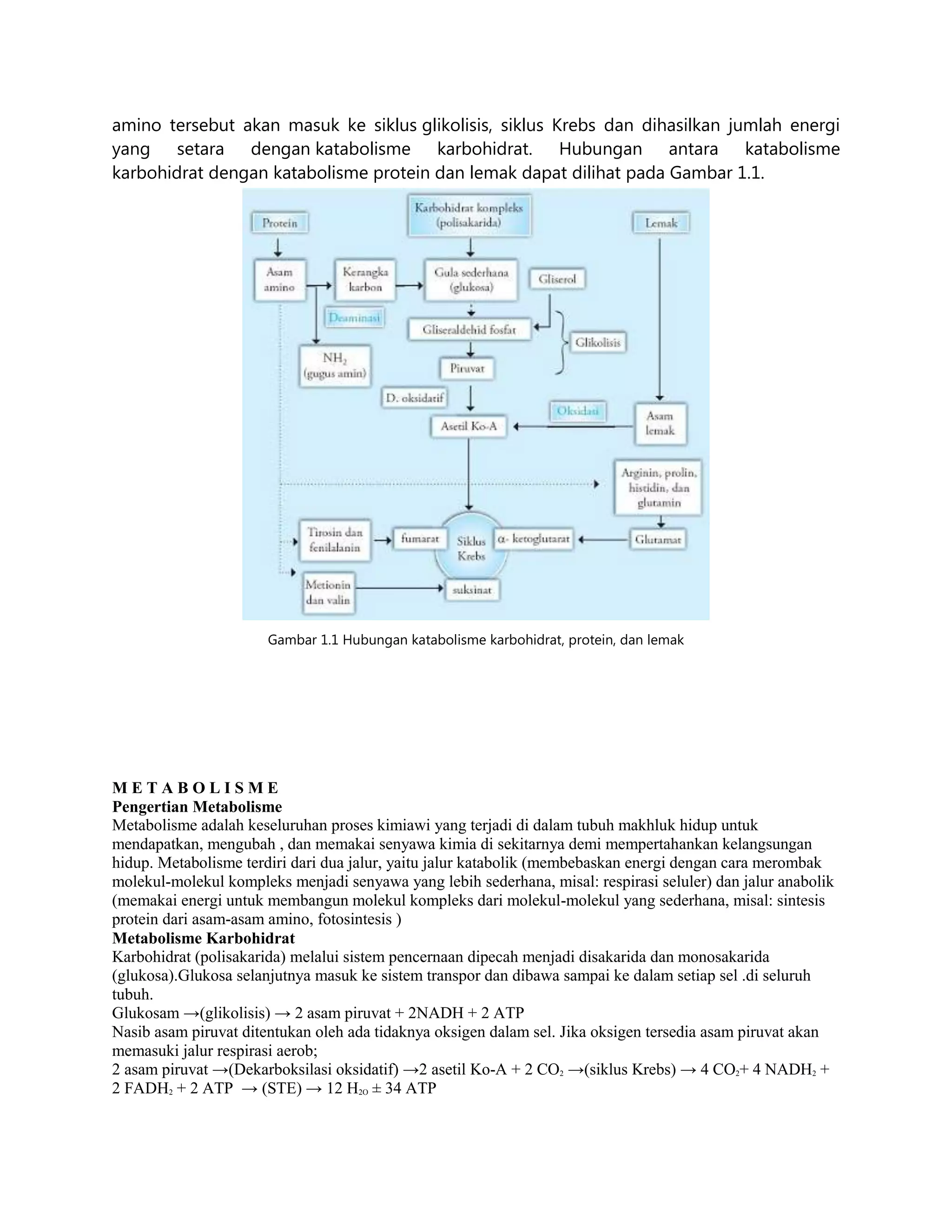 Hubungan antara metabolisme | DOCX