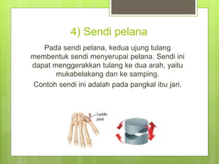 Hubungan Antar Tulang | PPTX