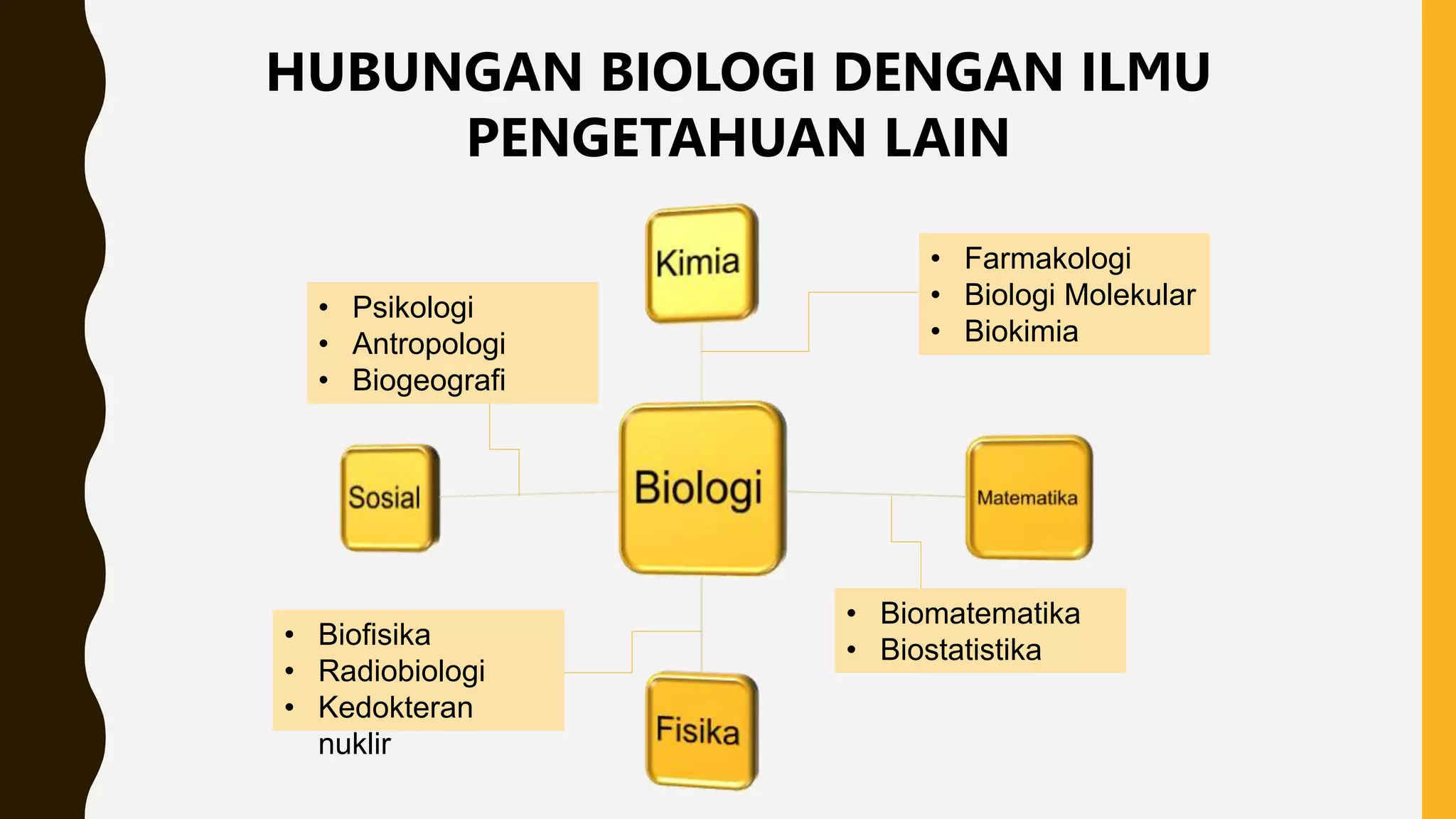 Hubungan Biologi dengan ilmu lain.pptx