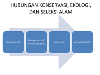 HUBUNGAN EKOLOGI DENGAN KONSERVASI.pptx