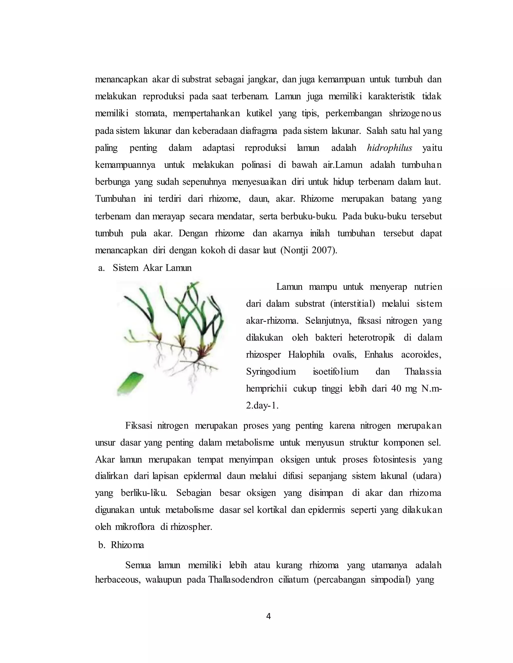 Hubungan keterkaitan ekosistem_mangrove | DOCX