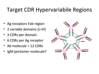 Hu cal ab & design | PPT
