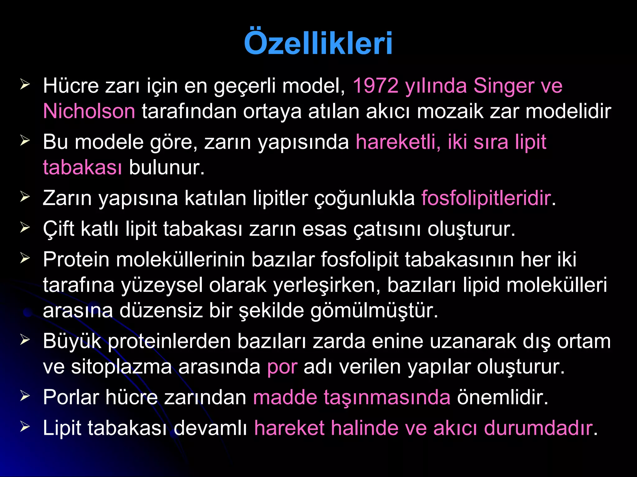 Okaryot Hucre Yapi | PPT