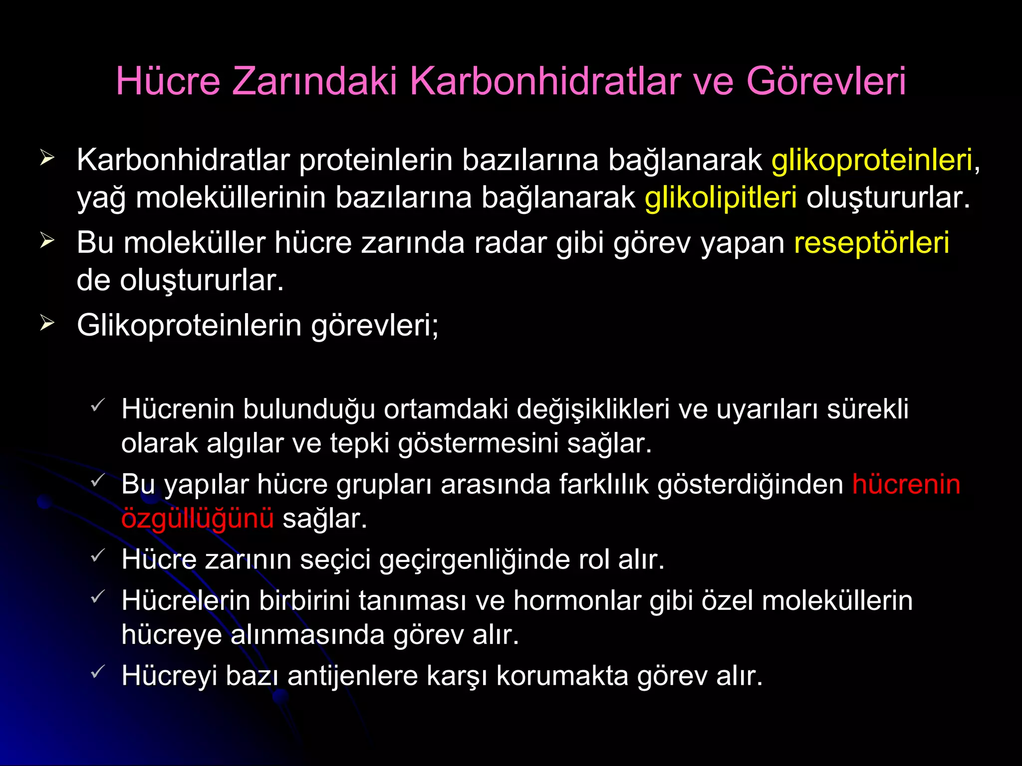 Okaryot Hucre Yapi | PPT