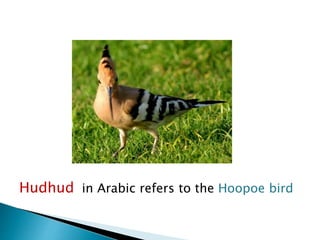 Hud hud cyclone | PPTX