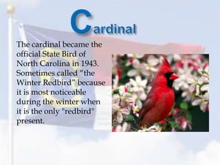 ABC's of North Carolina | PPTX