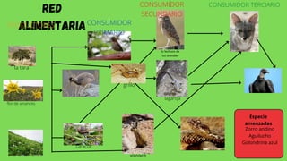 Huella Ecológica.pptx
