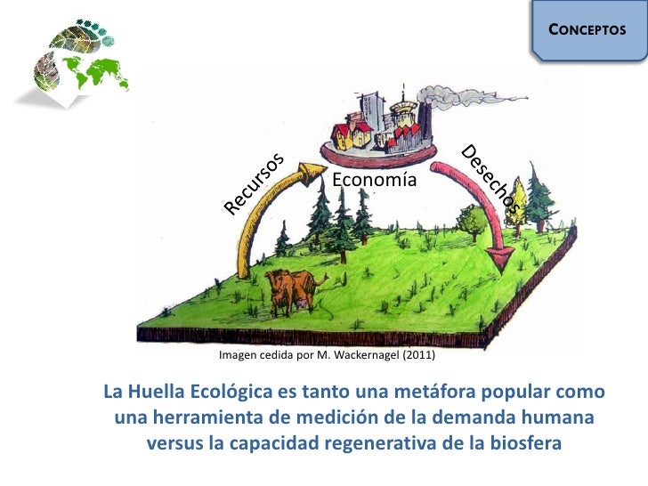 EcoVerde: Principios básicos