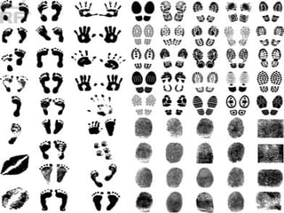 Huellas y manchas | PPT
