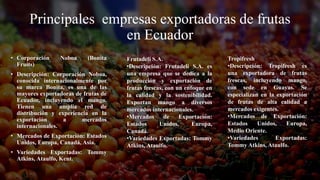Huerto de Mango para Exportación en Ecuador.pptx