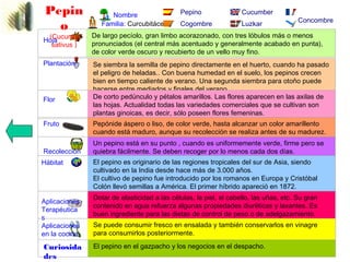 Huerto ficha | PPT