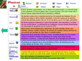 Huerto ficha | PPT