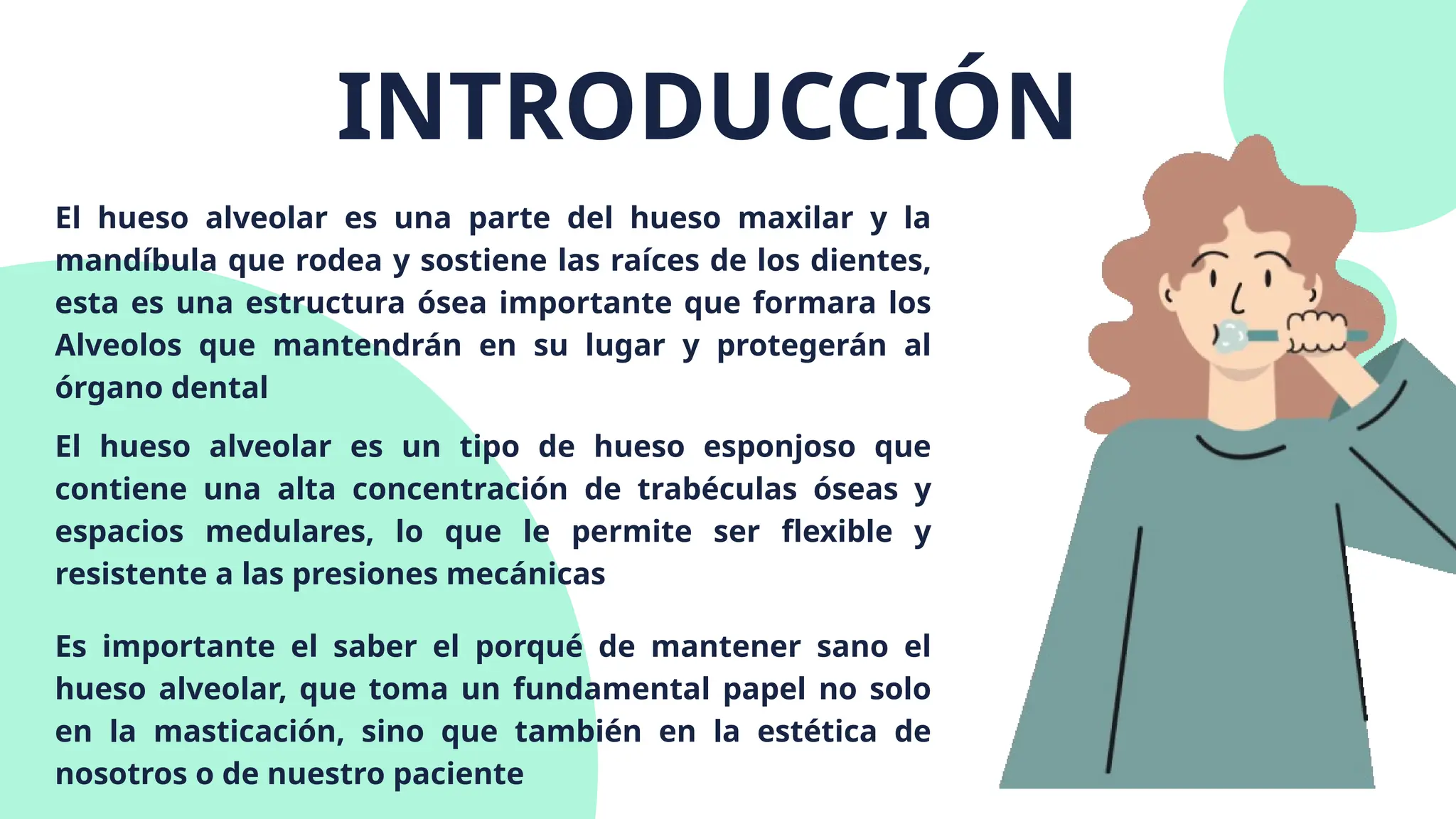 Hueso alveolar de la clase de Histología y Embriología bucodental | PPTX