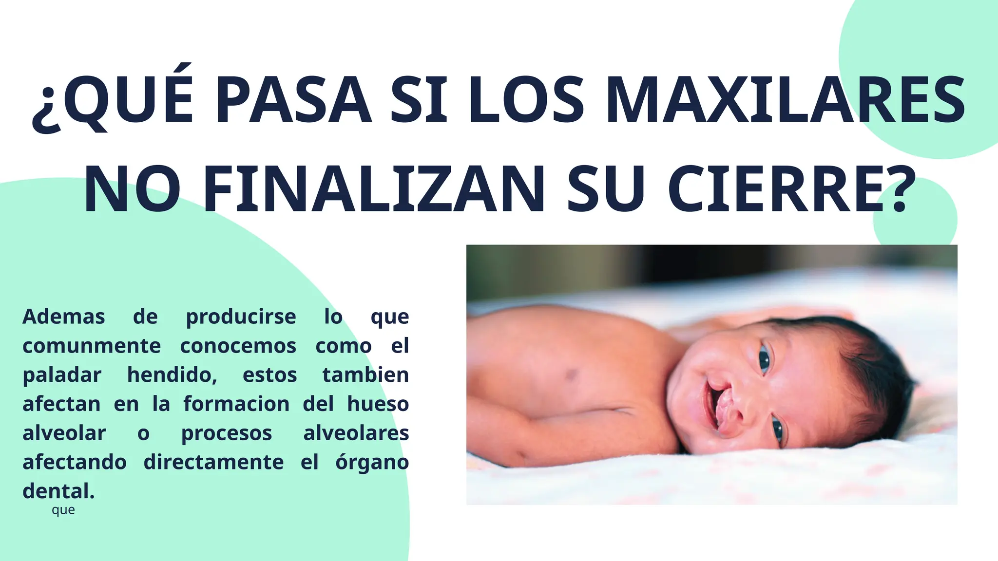 Hueso alveolar de la clase de Histología y Embriología bucodental | PPTX