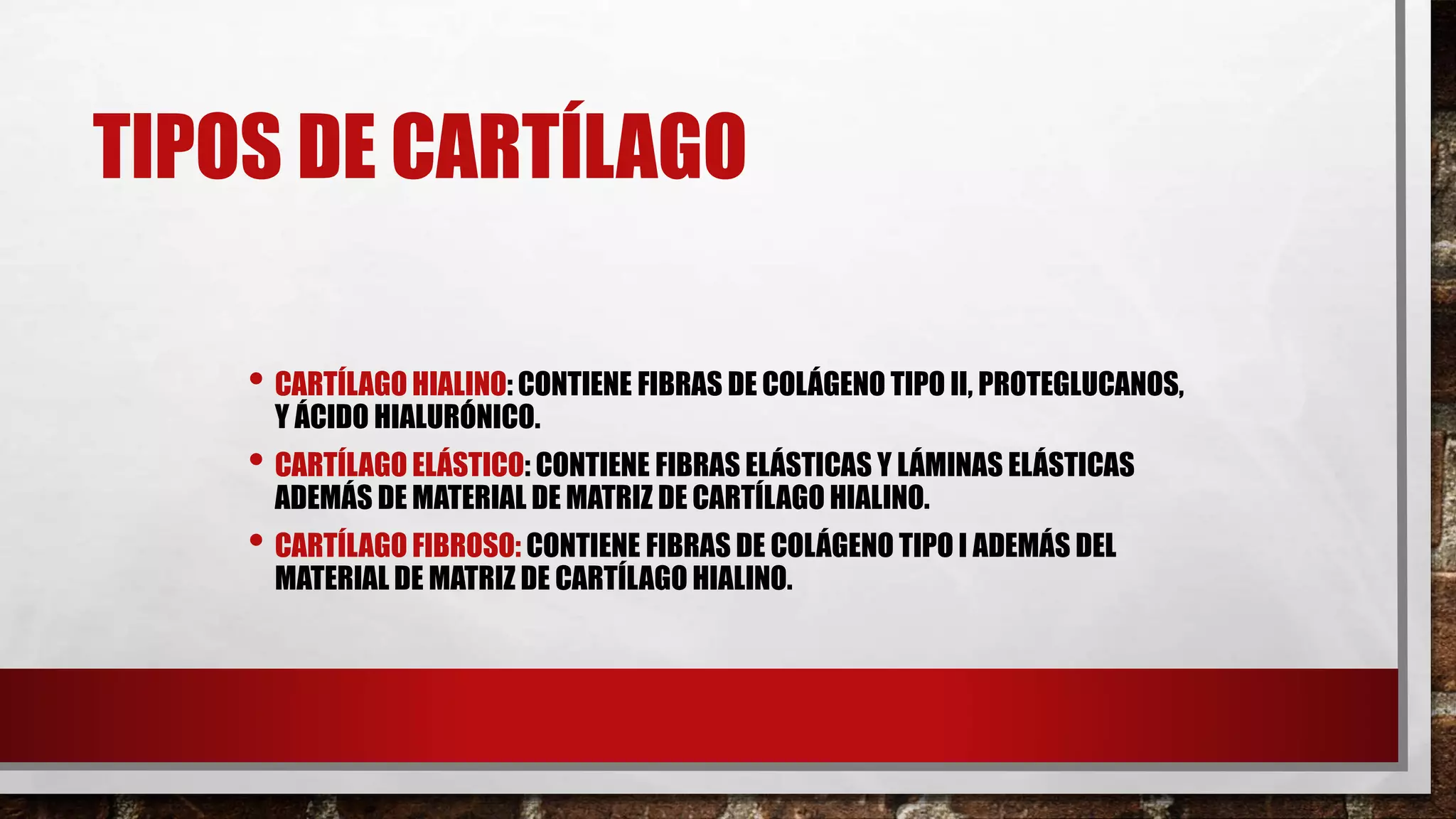 Hueso, cartilago y hematopoyetico lab | PPT