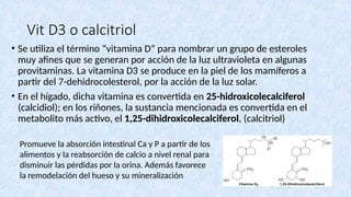 Metabolismo óseo del calcio. Fisiología de Kinesiología y Fisioterapia ...
