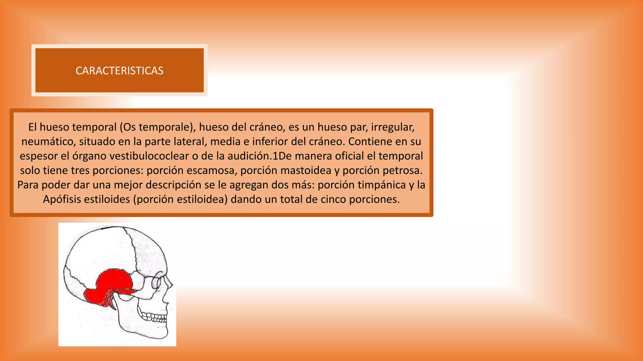Hueso del craneo temporal maria jose rodriguez | PPT